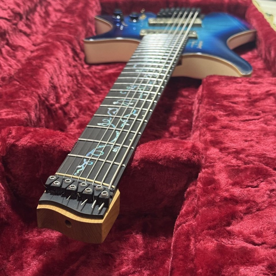 Electric Guitar Strandberg J8 Standard Made in Japan with Accessories ...