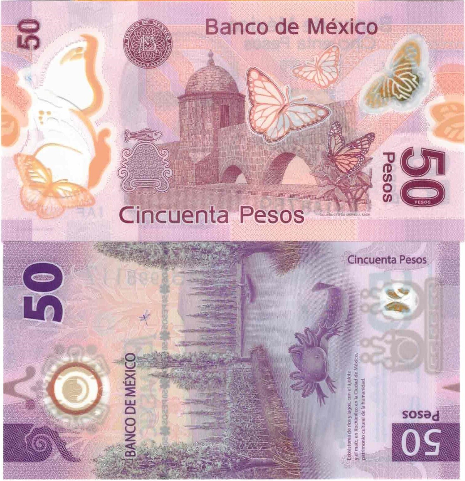 LOT OF 2 - 50 PESO MEXICO BILLS UNCIRCULATED COLECCION BILLETES DE 50 ...