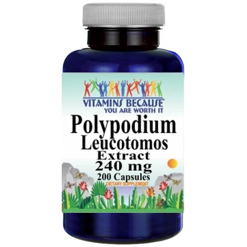 Polypodium Leucotomos Extract 240mg 200 Capsules by Vitamins Because | eBay