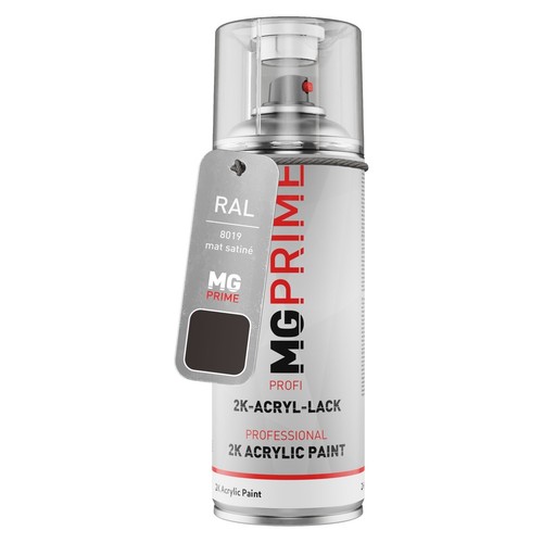 RAL 8019 Brun gris Grey brown mat satiné acrylique bombe aérosol 2C 400 ...