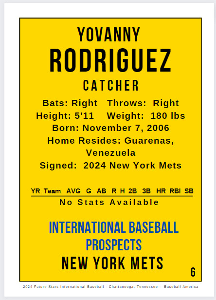 2024 Yovanny Rodriguez Future Stars International Rookie Card New York ...