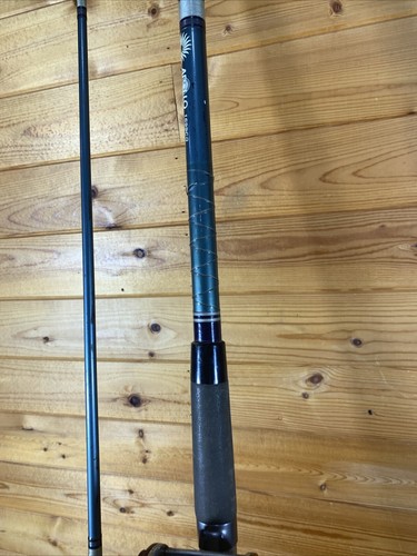 Daiwa Apollo 10’ Rod 1699CG Medium Action Two-Piece Penn Peer Reel ...