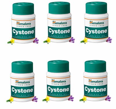 6 Bottles Cystone Tablets Himalaya 60 Tablets- For Kidney Health ...