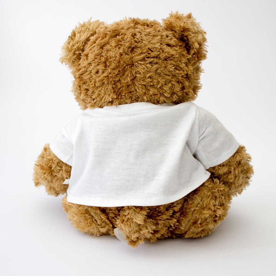 NEW - England Flag St Georges Cross Teddy Bear - Football Rugby Fan ...