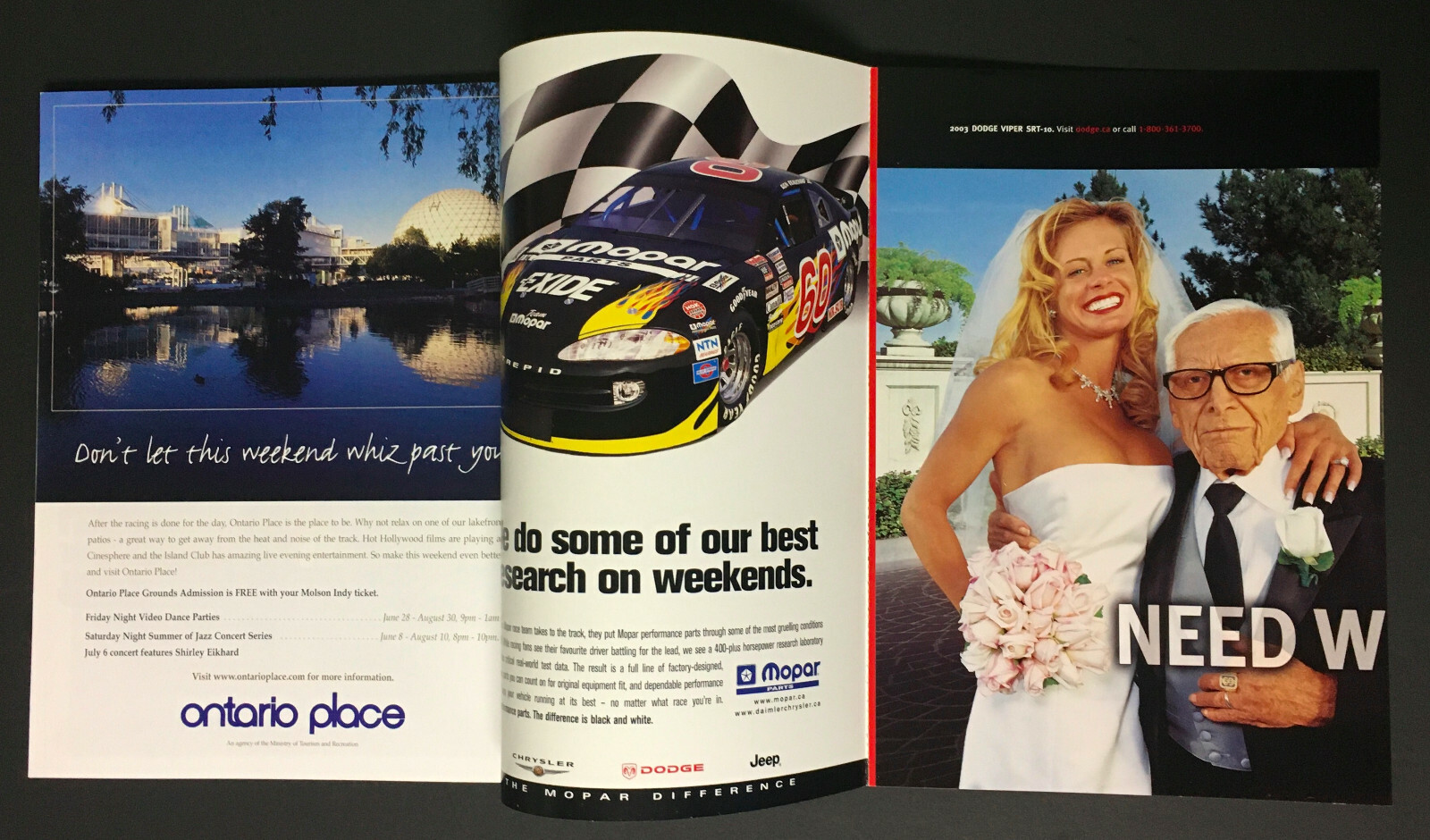 2002 Molson Indy Toronto Paul Tracy Driver Signed Racing Auto Program ...