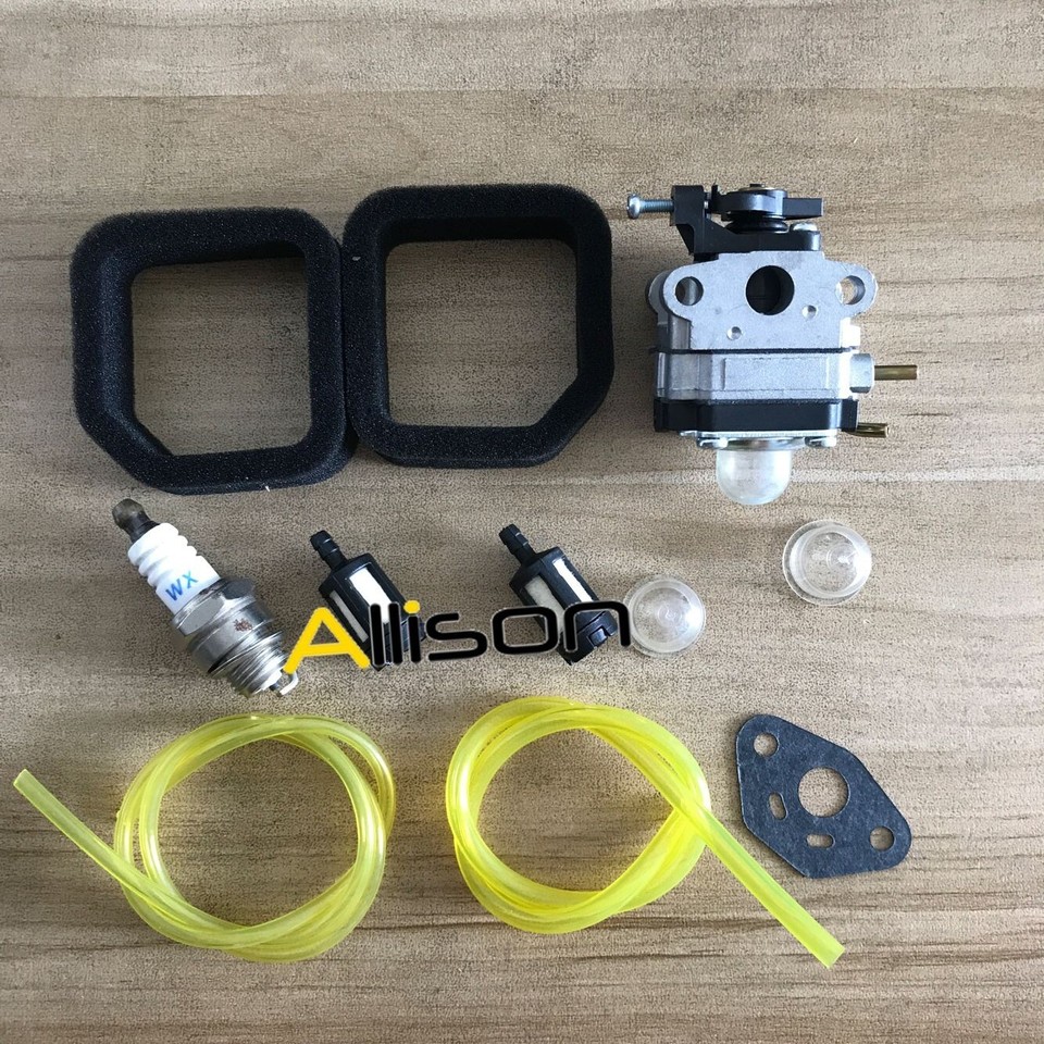 Carburetor for Ruixing H129f-2C 2129F-2C BQE210103 Air Filter Carb Tune ...
