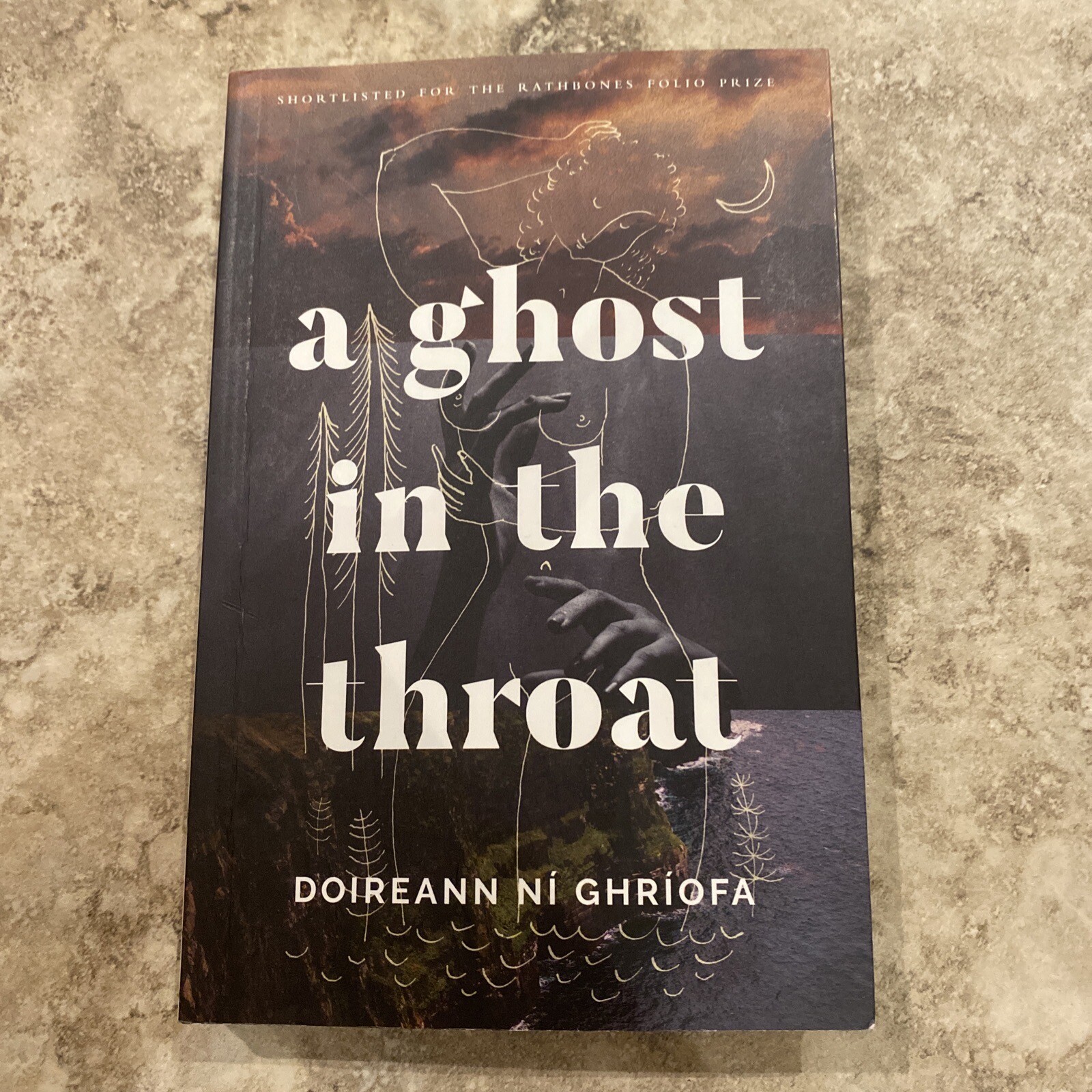 Ghost In The Throat Doireann Ní Ghríofa | eBay