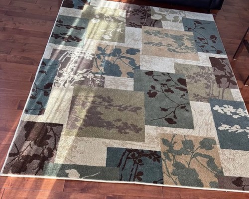 Shaw area rugs | eBay