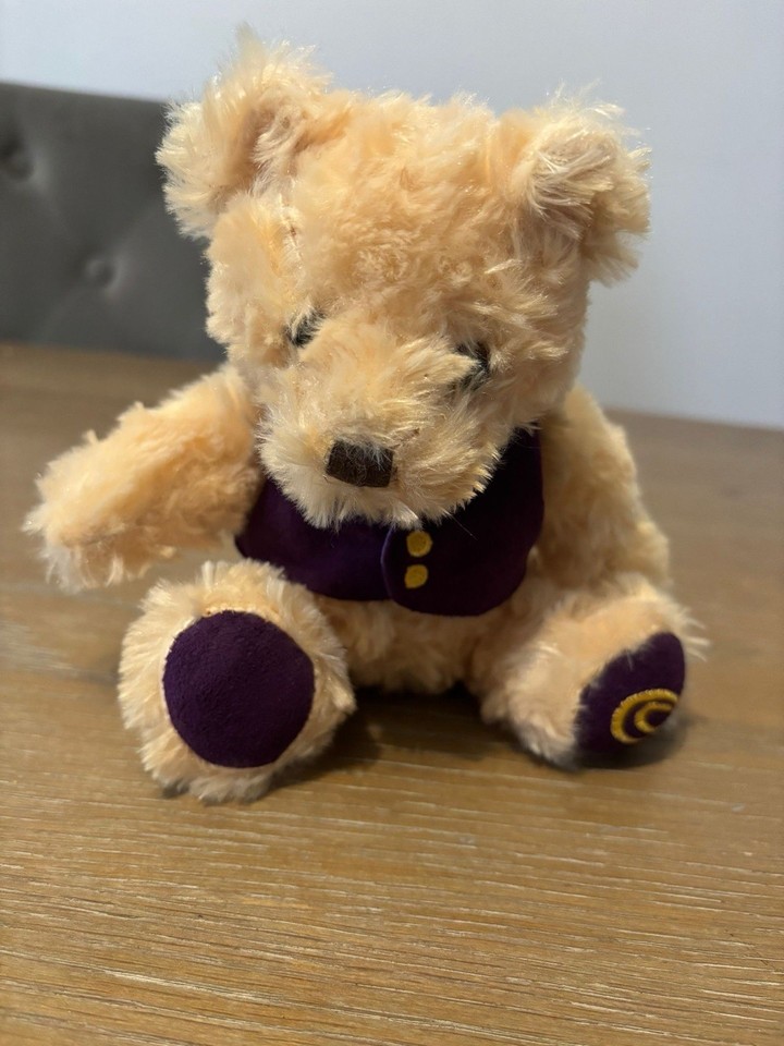 Official Cadburys Teddy Bear Plush Soft Toy | eBay UK