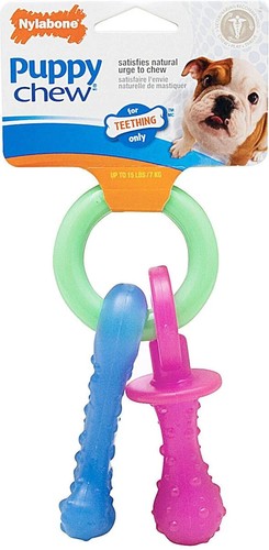 Nylabone Puppy Chew Teething Pacifier Bacon Flavor, Small/Regular ...