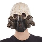 Mask My Other Me Skull (UK IMPORT) Costume Accs NEW | eBay