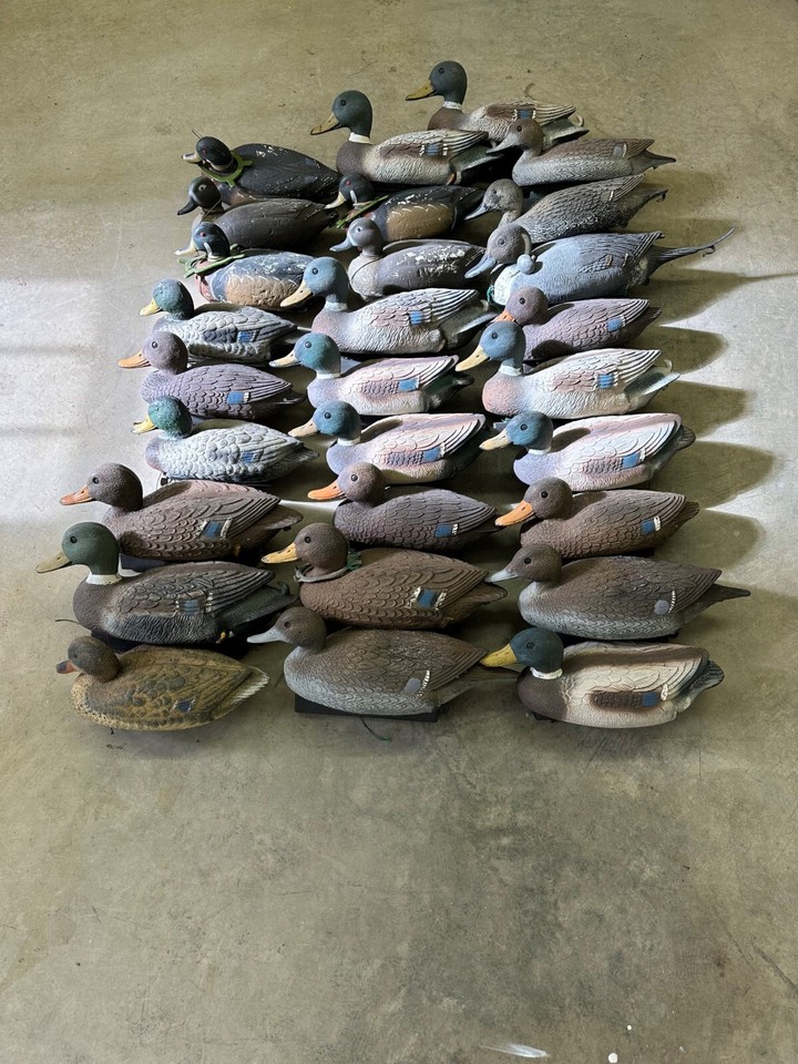 Lot of 28 Duck Decoys plus 2 boxes of clips and new decoy cord and more ...