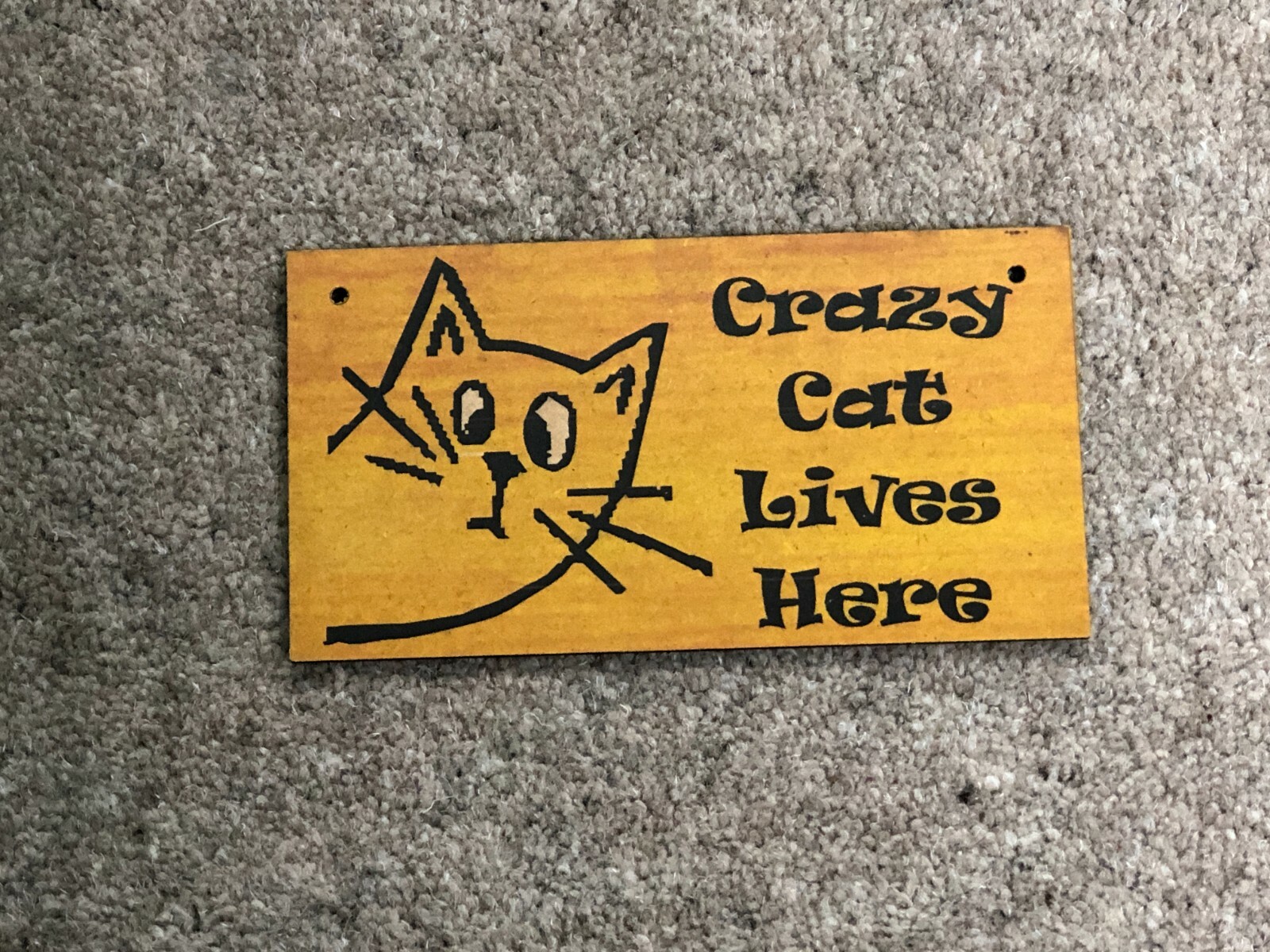 Funny Cat Signs by Image2 | eBay UK