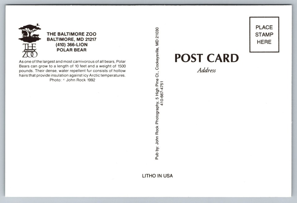 Postcard Maryland The Baltimore Zoo Polar Bears with Ball 63H | eBay