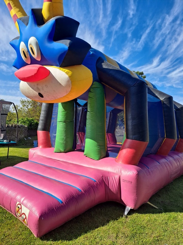 GIANT BERTIE BUG BOUNCY CASTLE | eBay UK