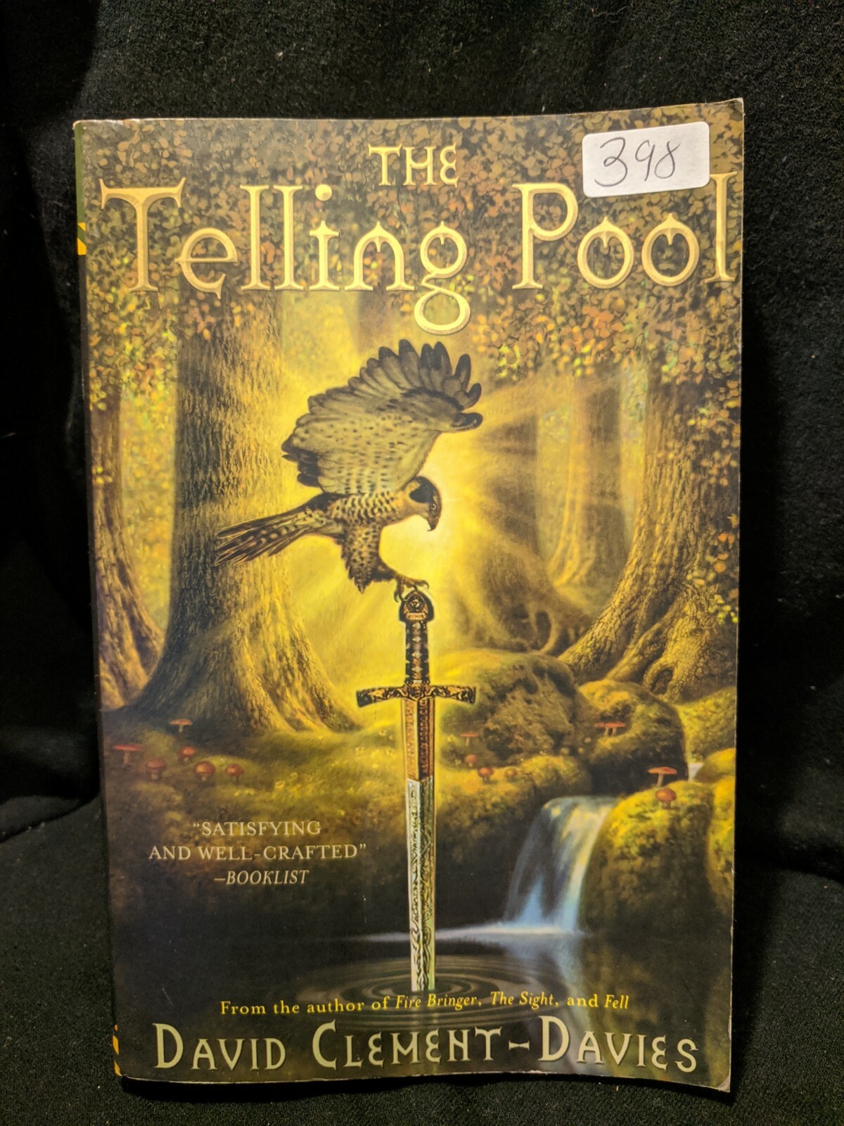 The Telling Pool by David Clement-Davies (2007, Perfect) 9780810992573 ...
