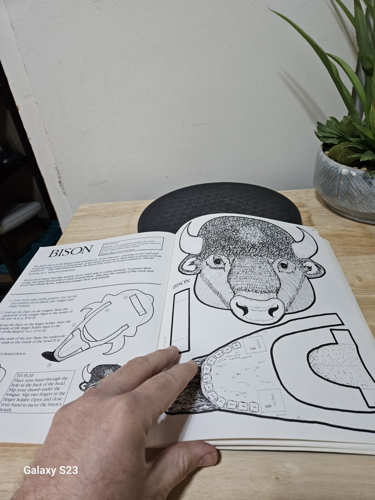 Predator Prey Puppets & Toys by Ronald Mah 1986 Paperback | eBay