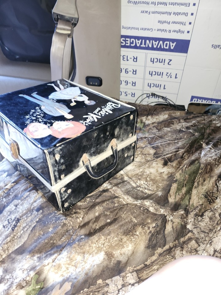 Vintage 1963 Barbie & Ken Case Lot – Zebra Swimsuit Barbie, Ken, Extra ...