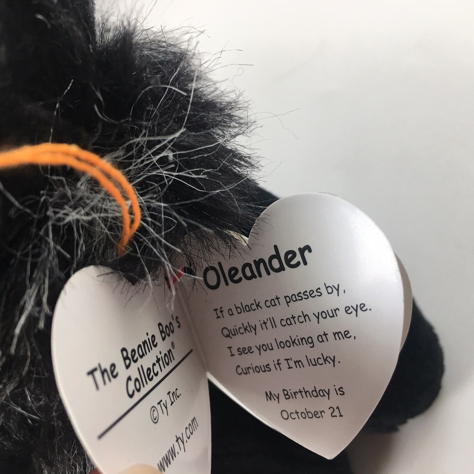 NEW 2022 Ty Beanie Boos OLEANDER the Halloween Cat (6 Inch) Stuffed ...