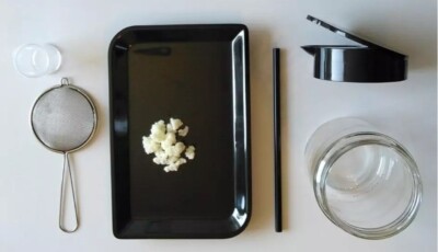 KEFIRPILZ BIO KEFIRKNOLLEN 10g KOMPLETT-SET DEMETER MILCH KEFIR-KNOLLE ...