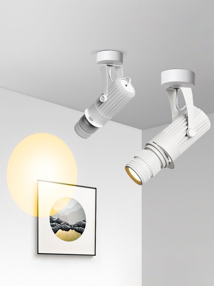 LED COB Ceiling Light Picture Spotlight Focus Lamp Adjustable Aperture ...