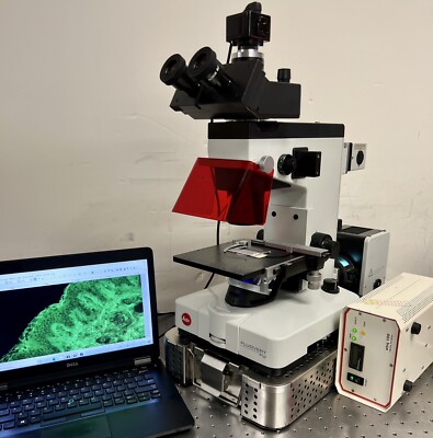 Microscopes - Inverted Fluorescence Microscope