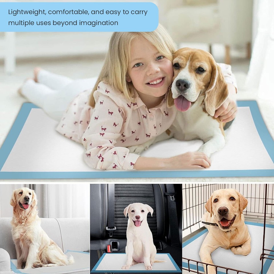 Pet Pads for Dogs 24x36 Unscented Blue Ultra-Absorbent Potty Training ...