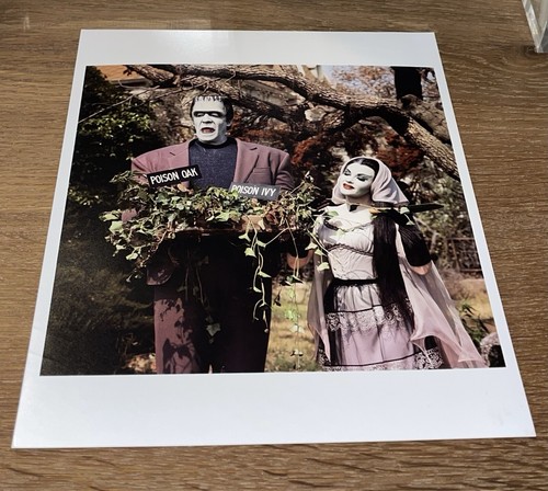 Original Vintage Type 1 Photo 🎥 The MUNSTERS Herman and Lily 1964 ...