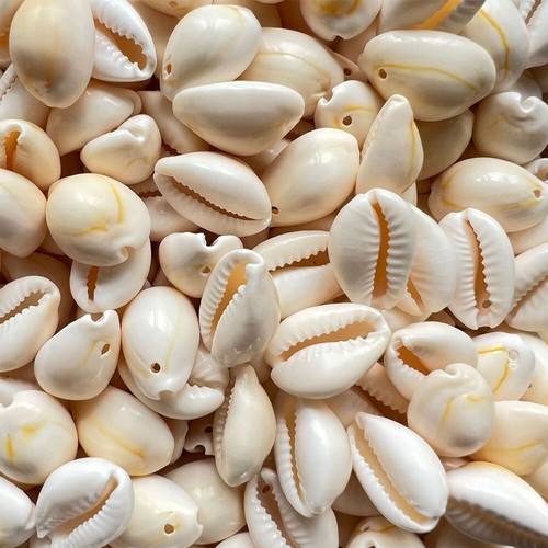 50pcs Small Bulk Cut Sea Shell White Cowrie Cowry Beads Beach Jewelry ...