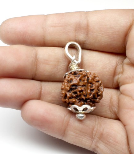 Pure Sterling Silver 6 Mukhi Natural Nepal Rudraksha Holi Pendant | eBay