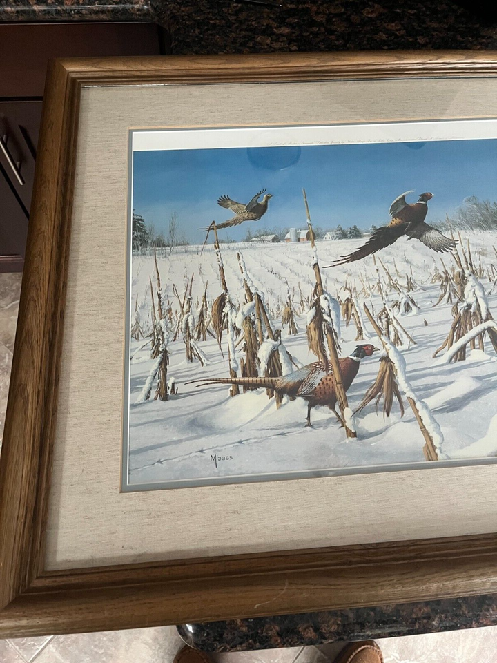 David Maass Print: " A TOUCH OF WINTER- PHEASANTS" Prof Framed And ...