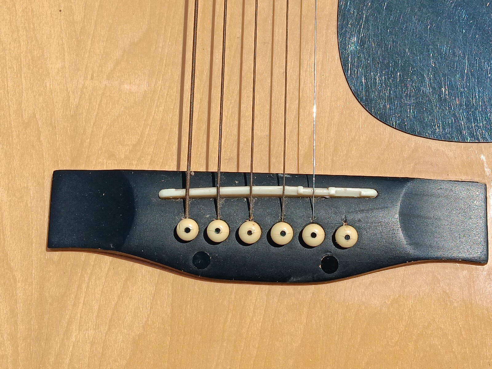 Vtg VHTF Acoustic PIGNOSE Guitar 6 Steel String 1970s PIG NOSE USED ...