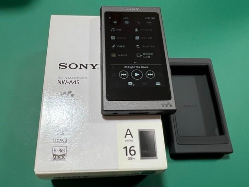 Sony NW-A45 Walkman High Performance Portable Digital Audio Player ...