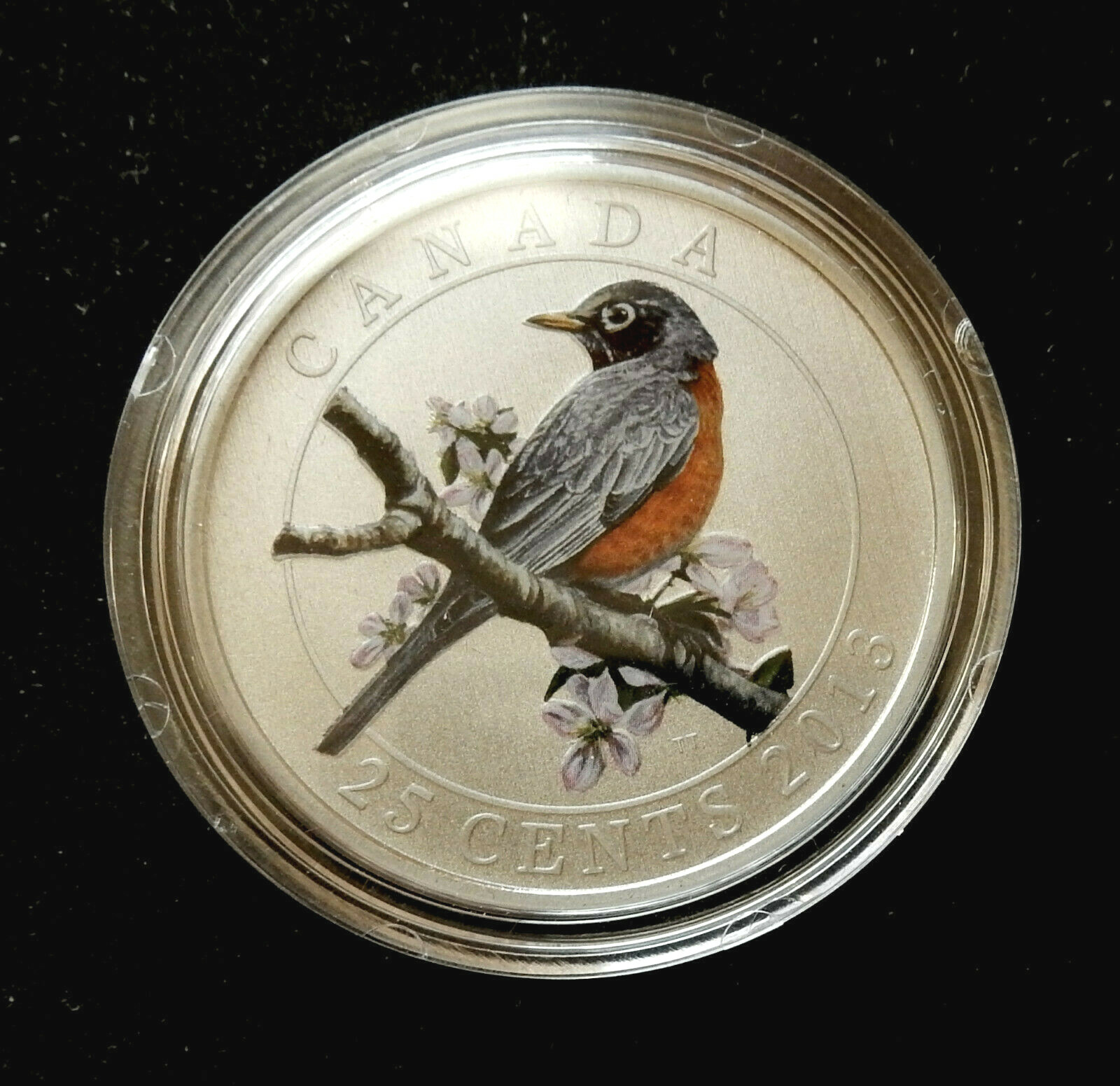 Canada 2013, 25 Cents, Robin. Case, COA. Colorized UNC | eBay