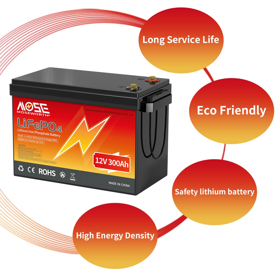 12V 24V 300Ah 100Ah LiFePO4 Lithium Battery 15000+Deep Cycle BMS Solar ...