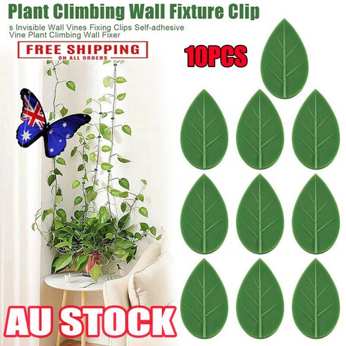 10 Pcs Leaf Shape Plant Climbing Wall Clip Sticky Hook Vines Fixing ...