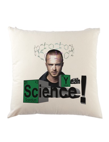 Yeah Science Jesse Pinkman Cushion Pillow Walter Breaking White ...