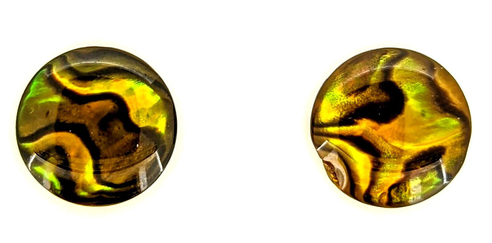 Pair 12mm Natural Gold Green Paua Abalone Shell Flat Round Cabochon PG5 ...