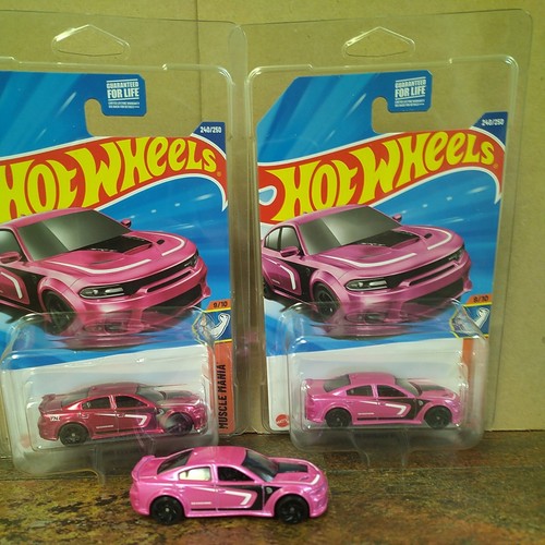 HOT WHEELS 2025 ‘20 DODGE CHARGER HELLCAT TREASURE HUNT W/ PROTECTOR 🔥 ...