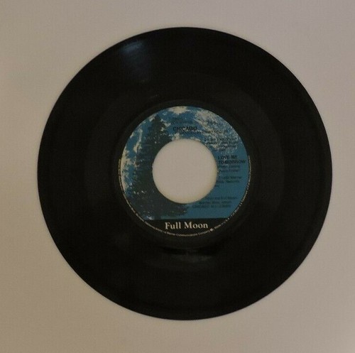 Chicago: "Full Moon" 45 RPM 6" Vinyl Record | eBay
