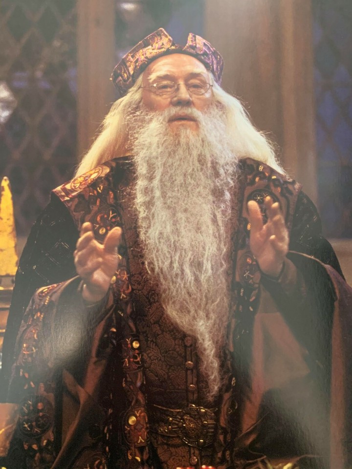 Harry Potter ~ Smiling Harry Potter & Dumbledore ~ Double Sided 12 x 16 ...