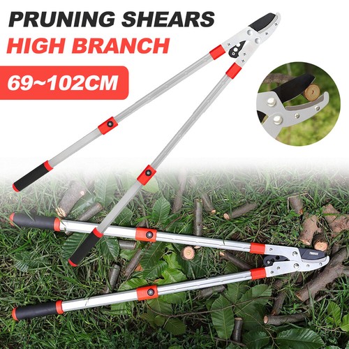 Telescopic Tree Loppers or Gardening Heavy Duty, Branch Cutter Long ...
