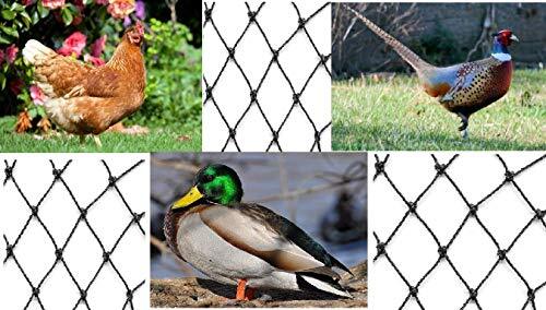 Aviary Netting Heavy Knotted 2 inch Poultry Net () 25 ft x 50 ft | eBay