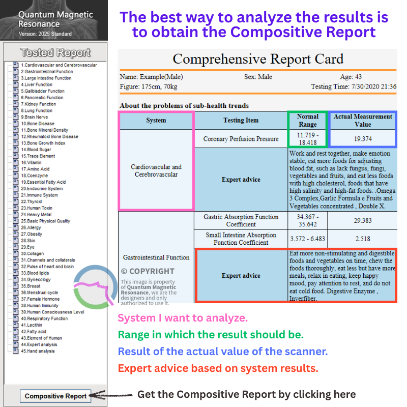 2026 AI Quantum Magnetic Resonance Body Analyzer 100 Reports -Standard ...