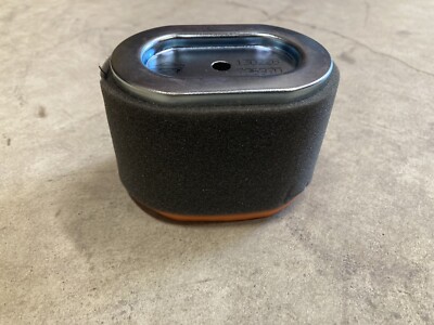 Briggs And Stratton Air Filter 796970 | eBay