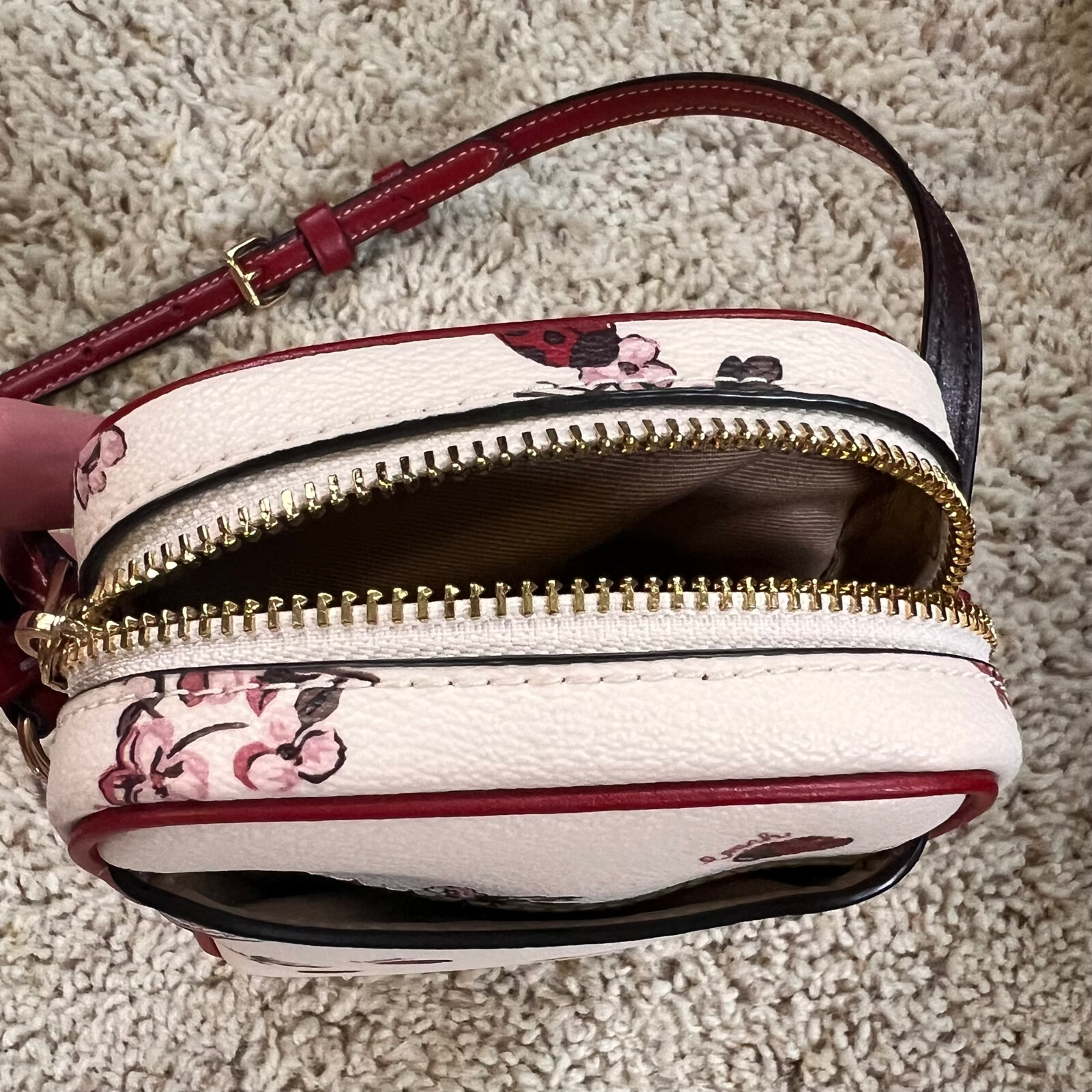 Coach North/South Zip Phone Crossbody With Ladybug Floral Print – Chalk ...