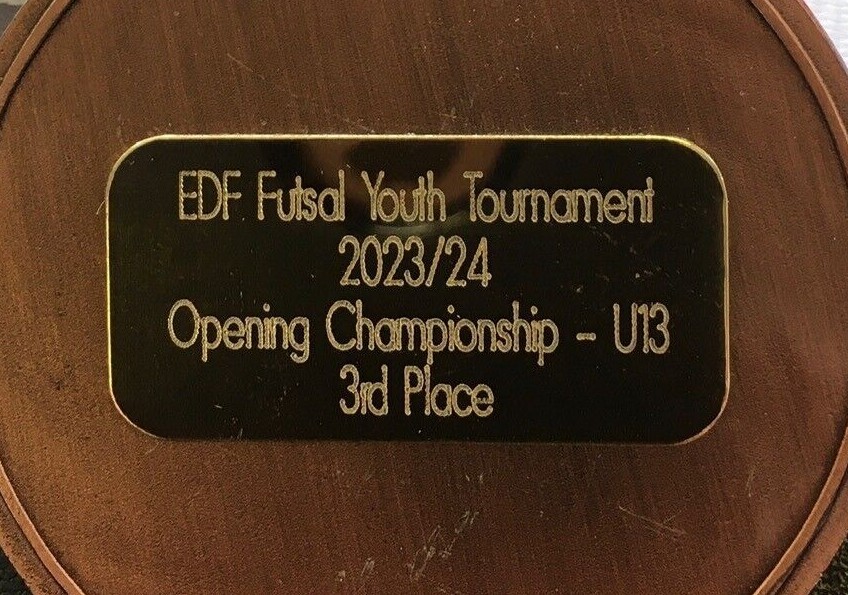 Snake Medal Award Cobra Martial Arts Sports Winners FREE ribbon ...