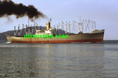 1 slide of US-flag Isthmian SS Co C3-type cargo ship STEEL NAVIGATOR | eBay