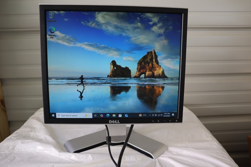Dell 1908FPc 19" LCD Monitor w/ DVI-VGA-Speaker & 4 USB Ports VGA cable ...