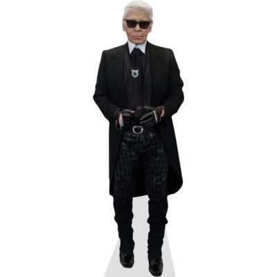 Karl Lagerfeld Mini Size Cutout | eBay